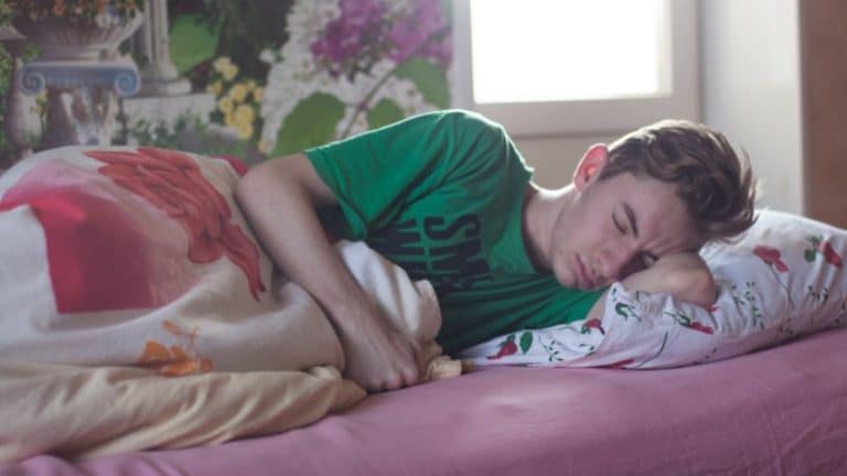 29 Napping Statistics & Facts to Boost Your Energy Levels